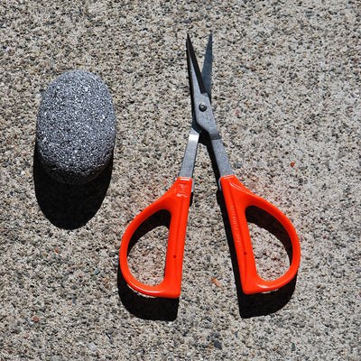 Garden: Carbon Steel Pruning Scissors – The Gardener Store